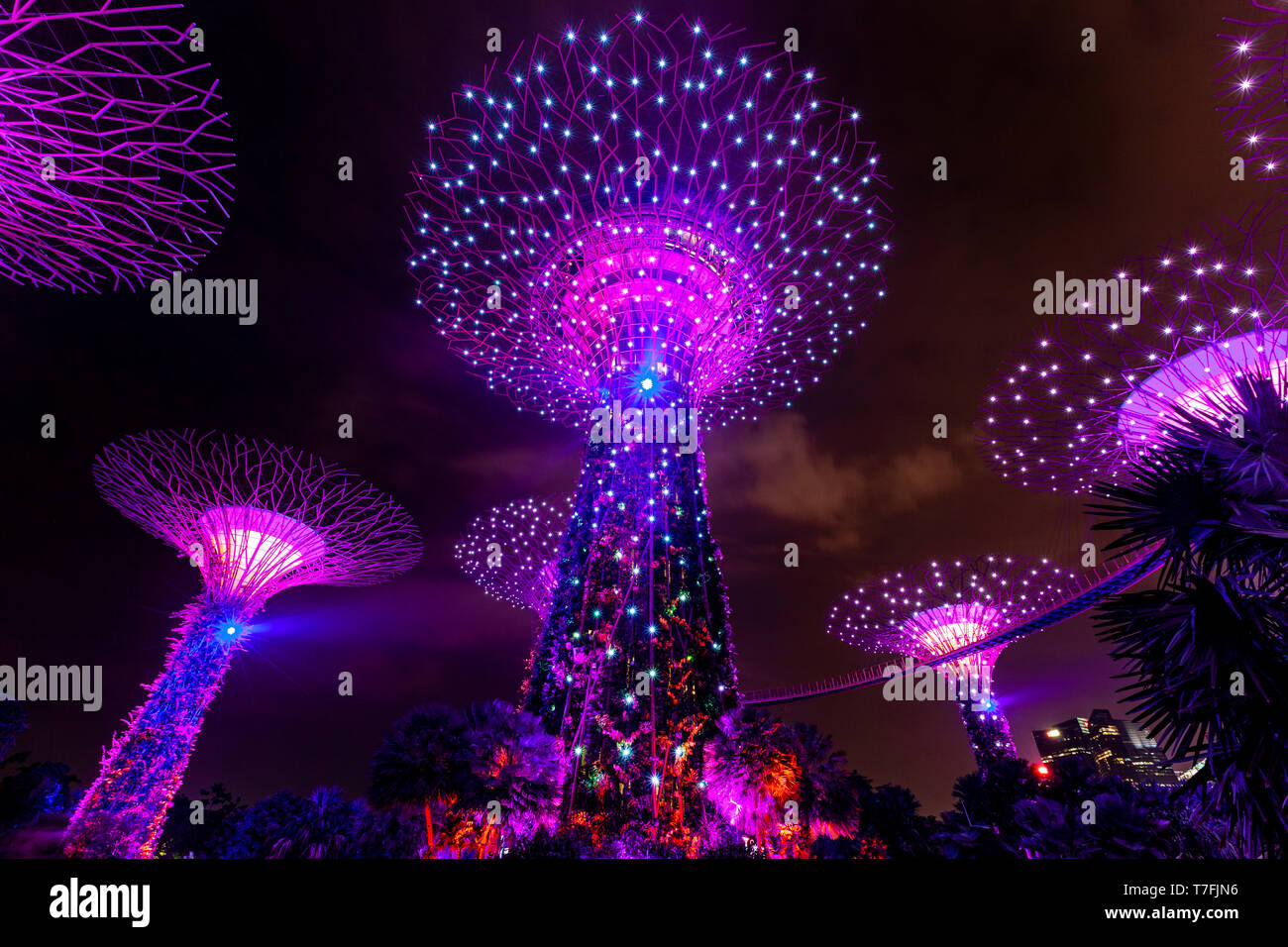 National Park Singapore Trees at Gabriel Basser blog