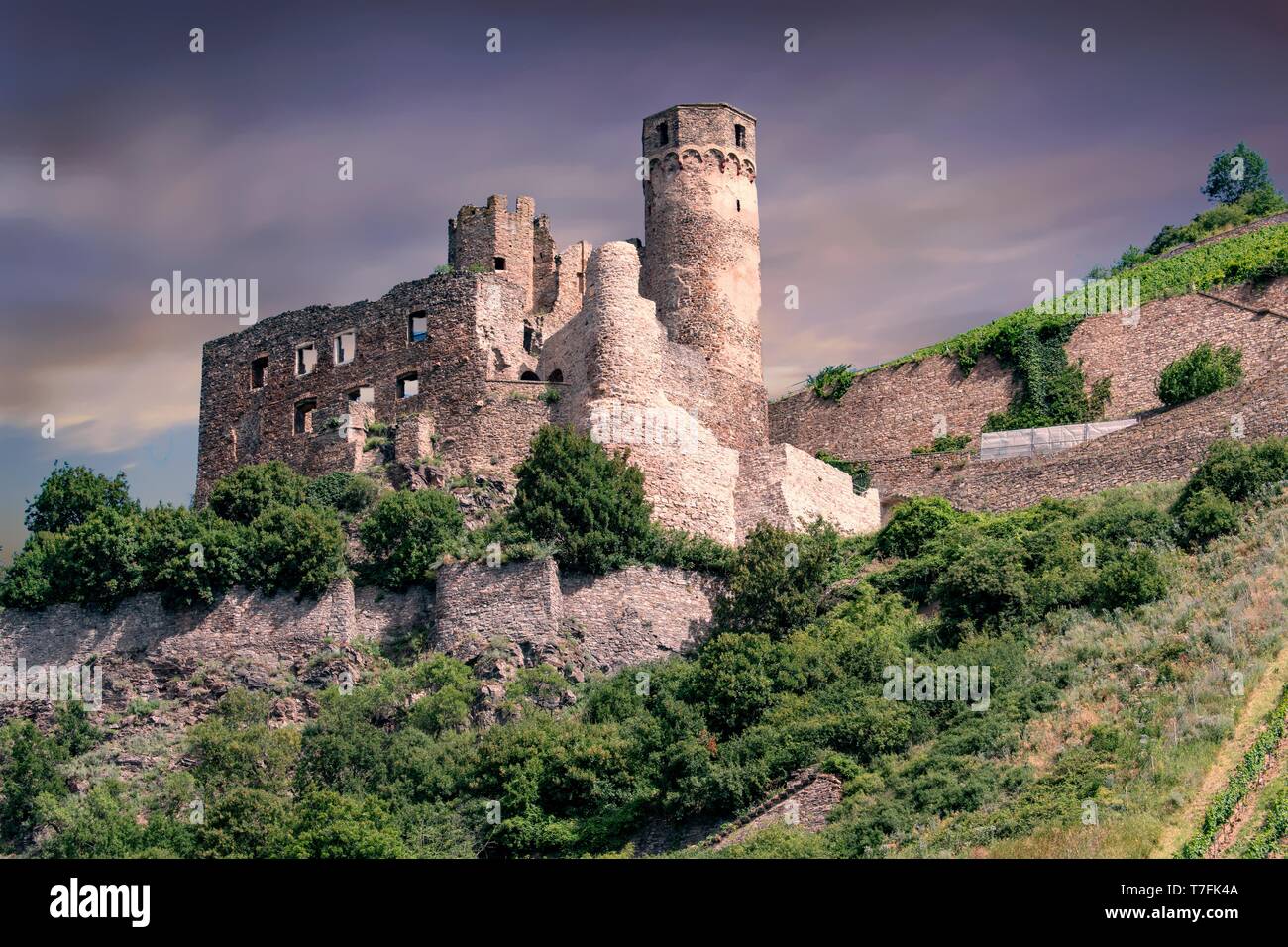 Castle ruin hohenstaufen hi-res stock photography and images - Alamy