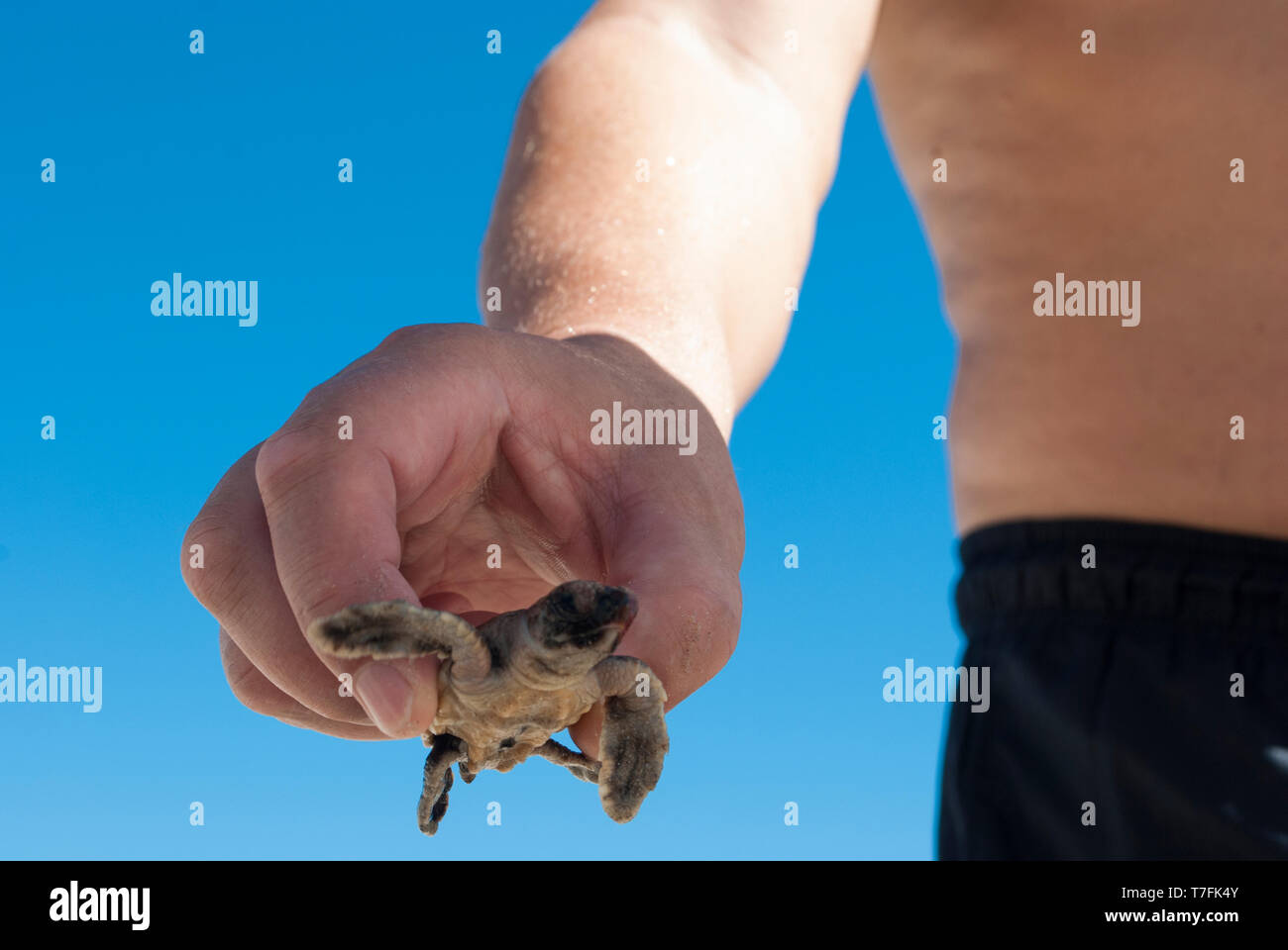 Helping others hi-res stock photography and images - Alamy