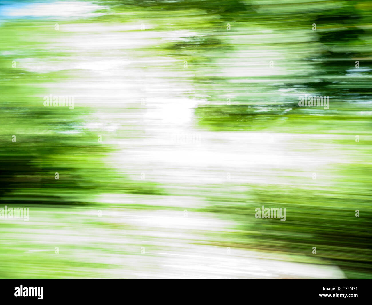 Dynamic forest tree abstract green wind Stock Photo - Alamy