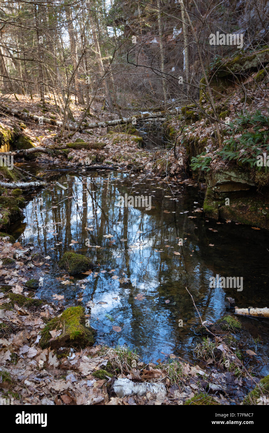 Reflections in still pond, Banning State Park MN Stock Photo - Alamy