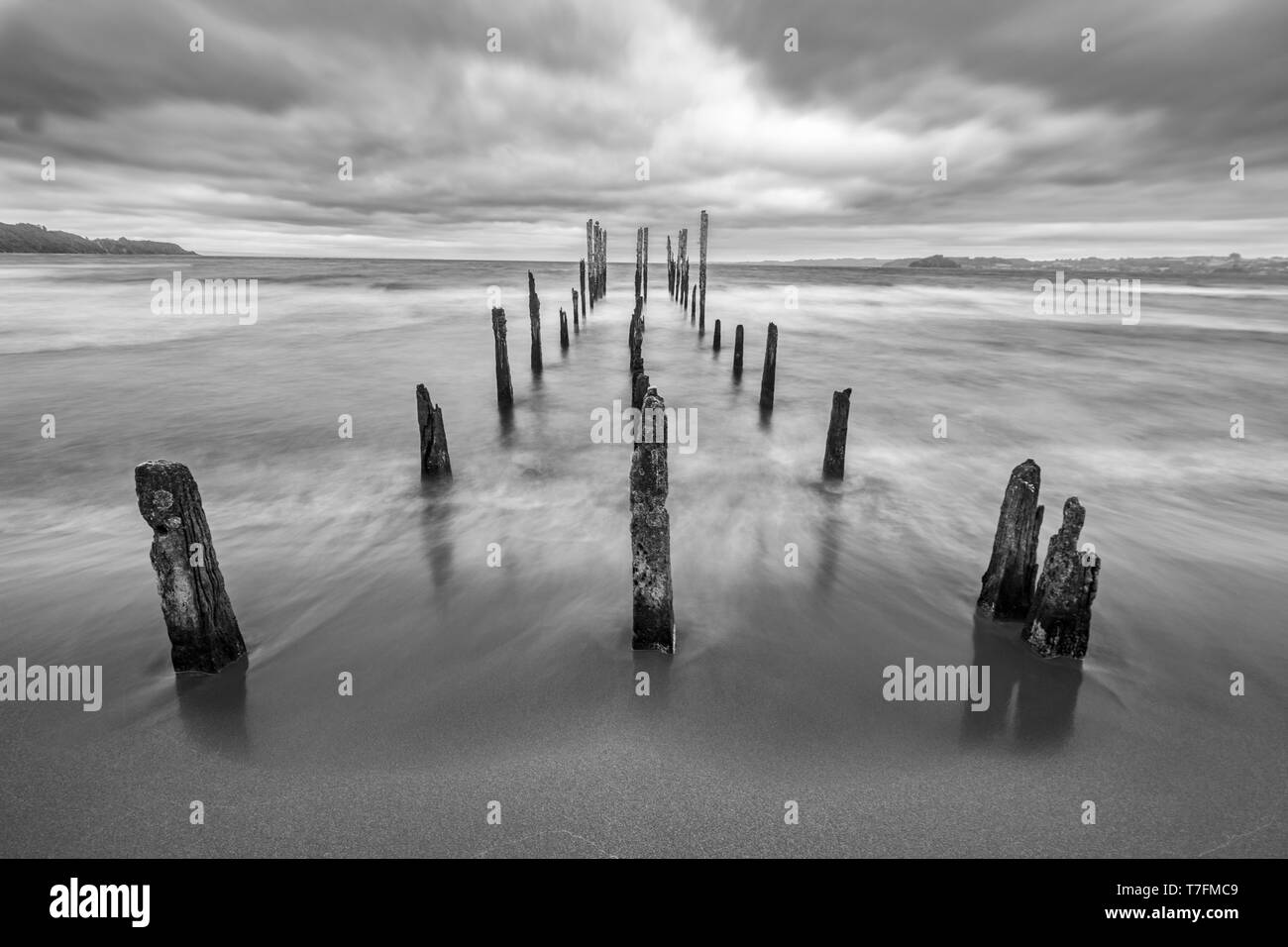 Inside an old pier Black and White Stock Photos & Images - Alamy