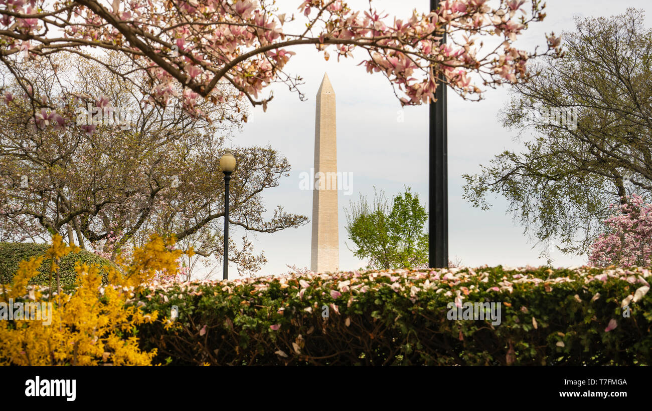 Opening in hedge hi-res stock photography and images - Alamy