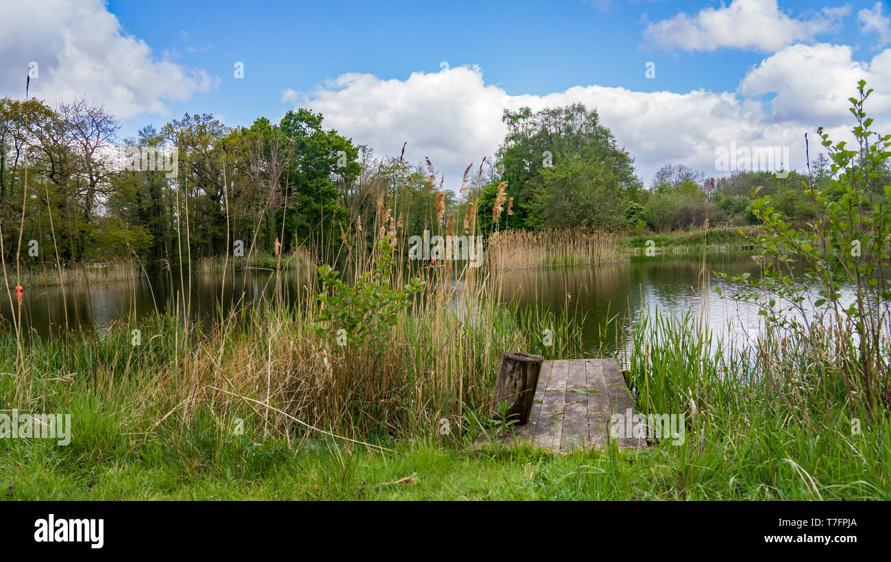 Wooden staging for fishing on a small lake in rural Norfolk Stock Photo ...