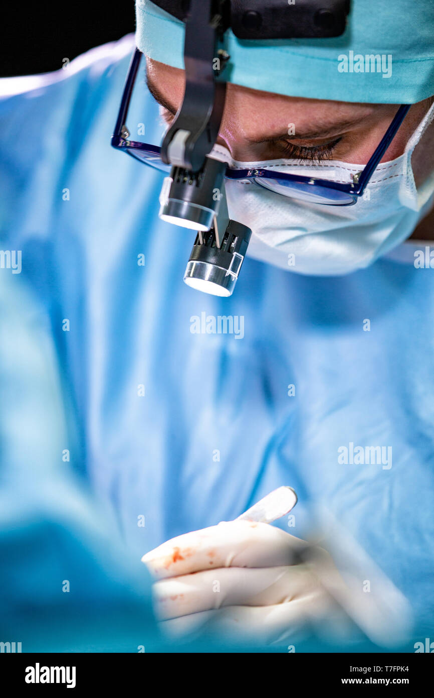 Surgeon and his assistant performing cosmetic surgery on nose in ...