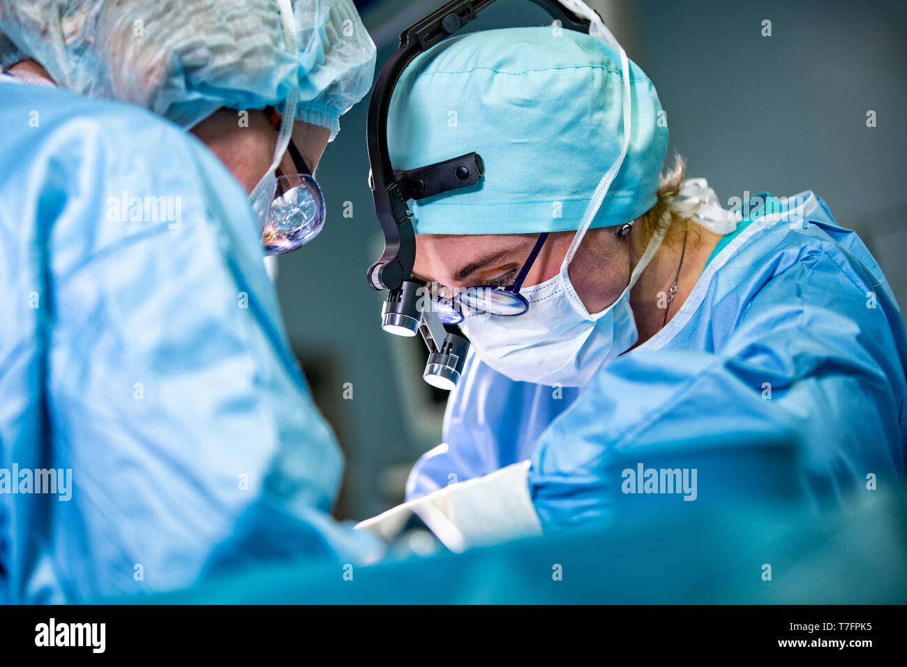 Surgeon and his assistant performing cosmetic surgery on nose in ...