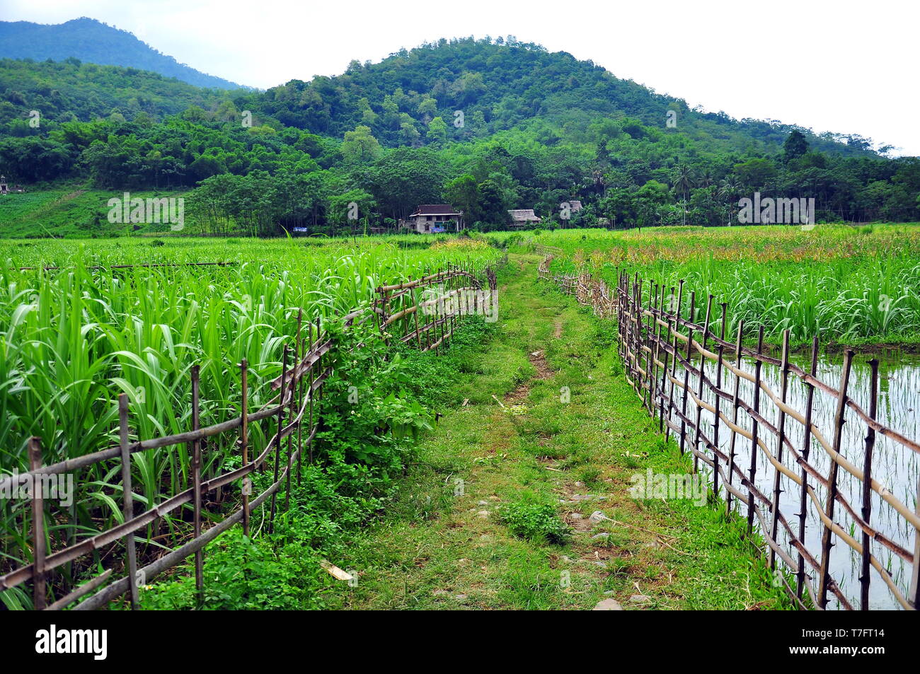 Wide view wooden farm hi-res stock photography and images - Alamy