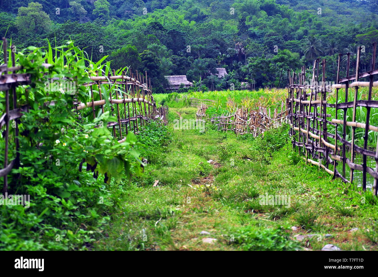 Wooden Farm Fences High Resolution Stock Photography and Images - Alamy