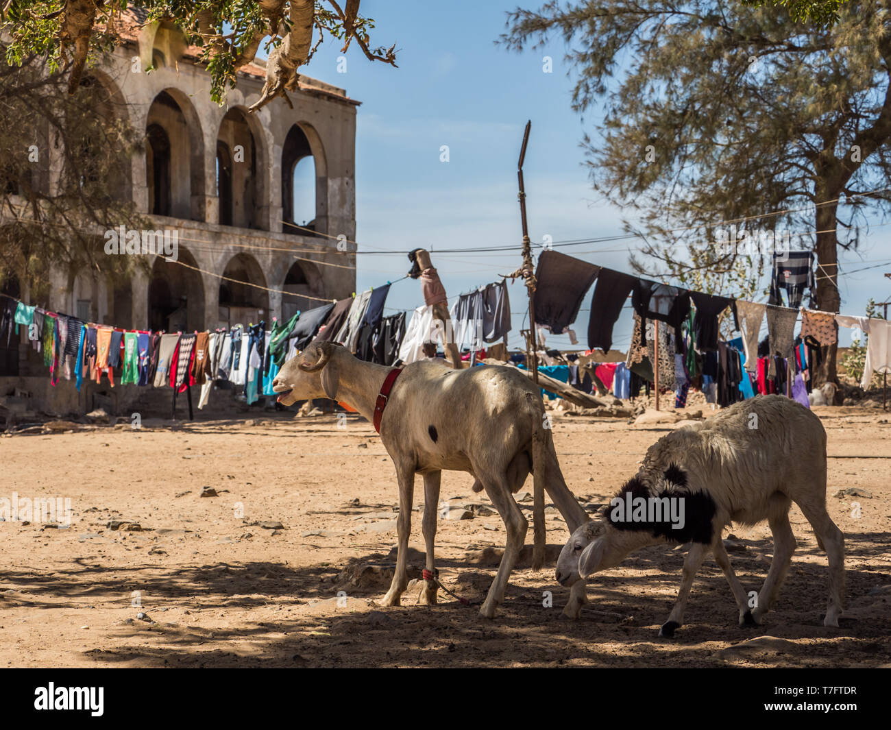 Slave pen africa hi-res stock photography and images - Alamy