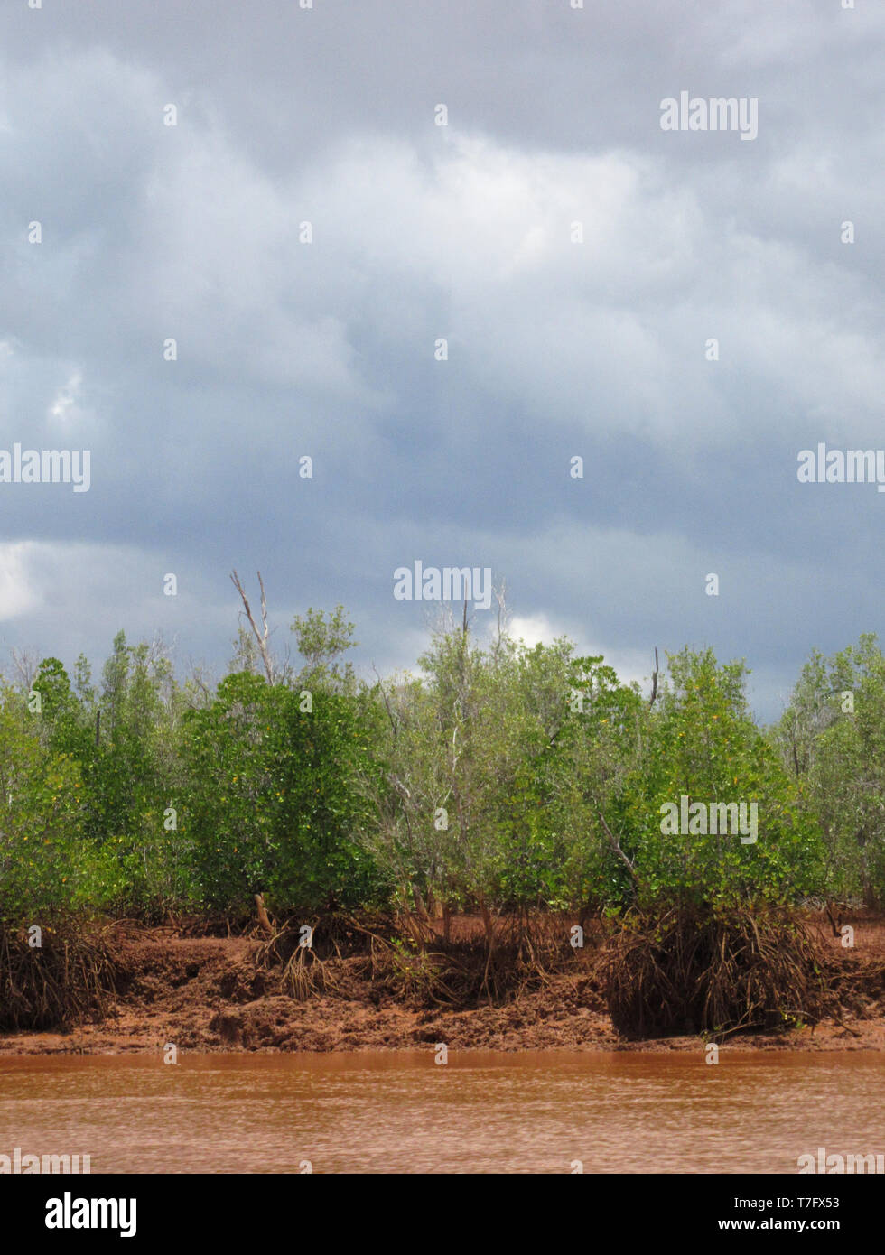 Riverbank in the Betsiboka River delta, northern Madagascar Stock Photo ...