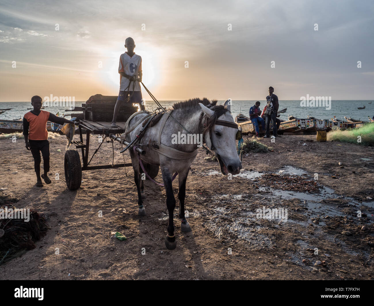 Sprung cart hi-res stock photography and images - Alamy