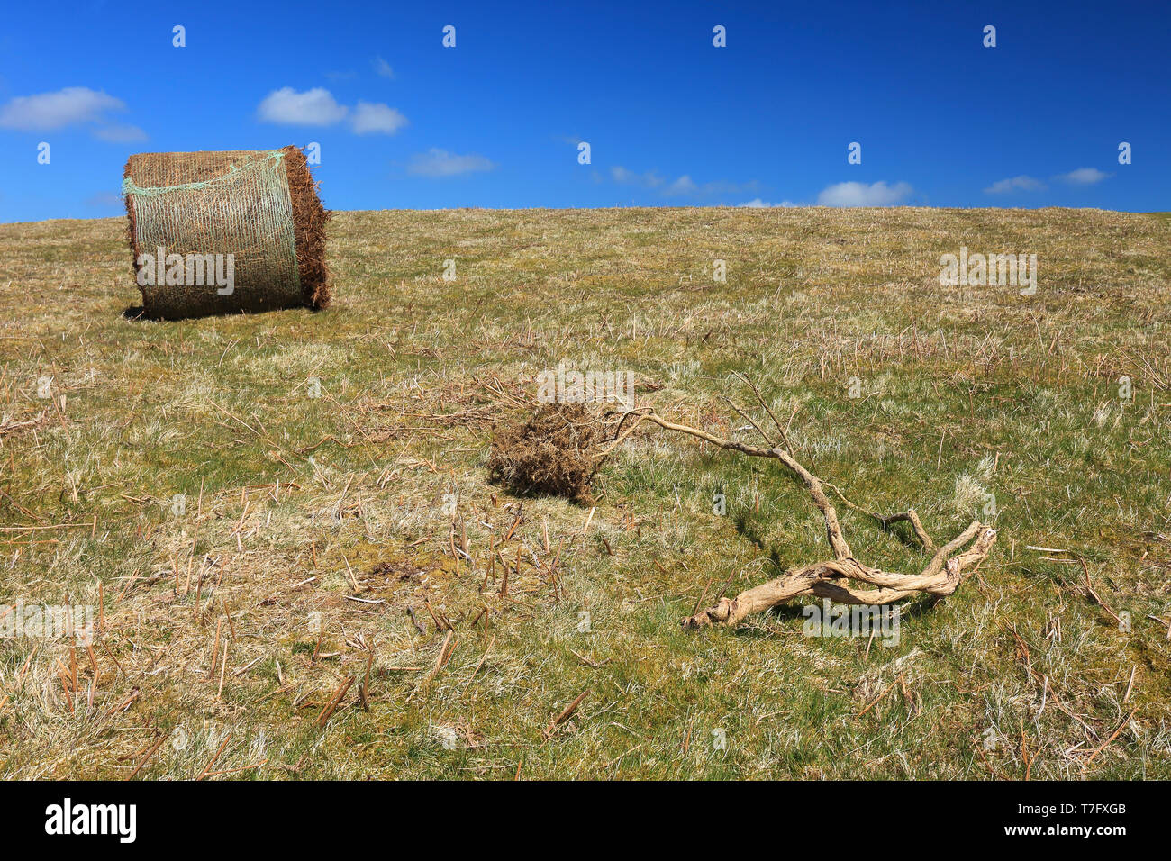 Bracken bale hi-res stock photography and images - Alamy