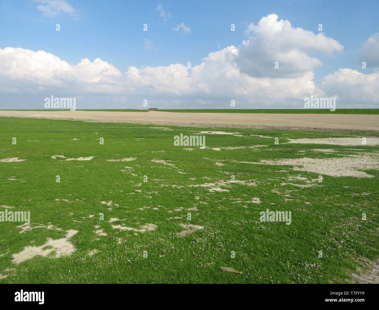 Friesland buitendijks hi-res stock photography and images - Alamy
