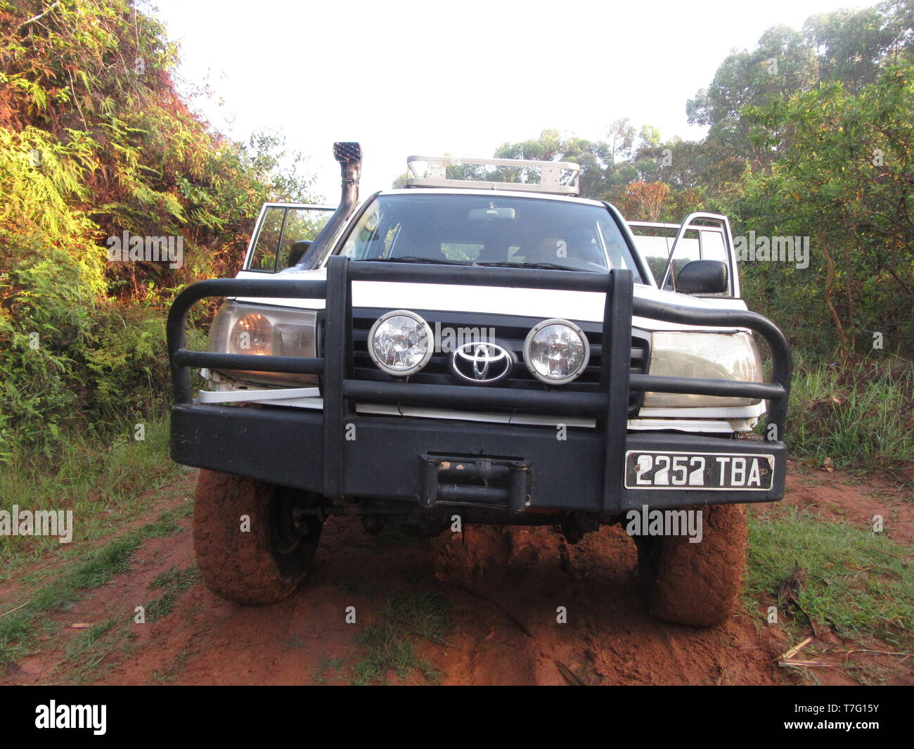 Jeep safari through dense jungle on local dirt roads in Andasibe ...