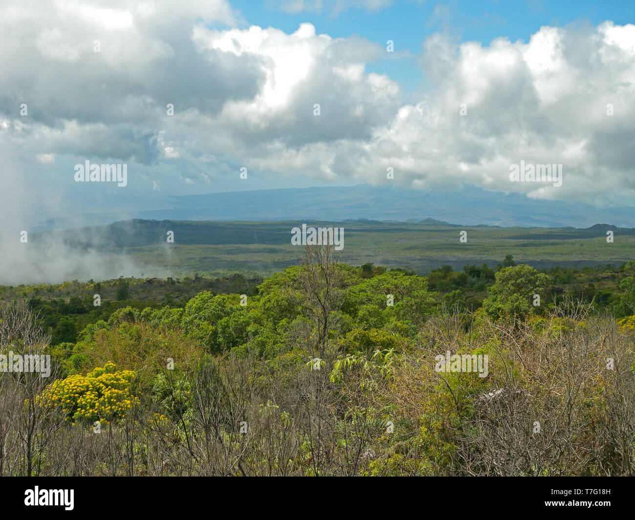 Mount Karthala High Resolution Stock Photography and Images - Alamy