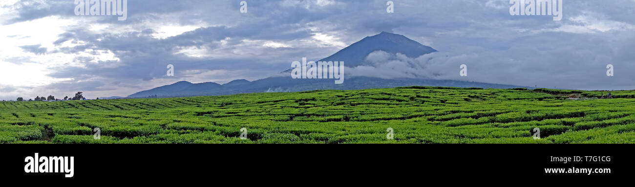 Gunung Kerinci, landscape of the island of Sumatra in Indonesia Stock ...