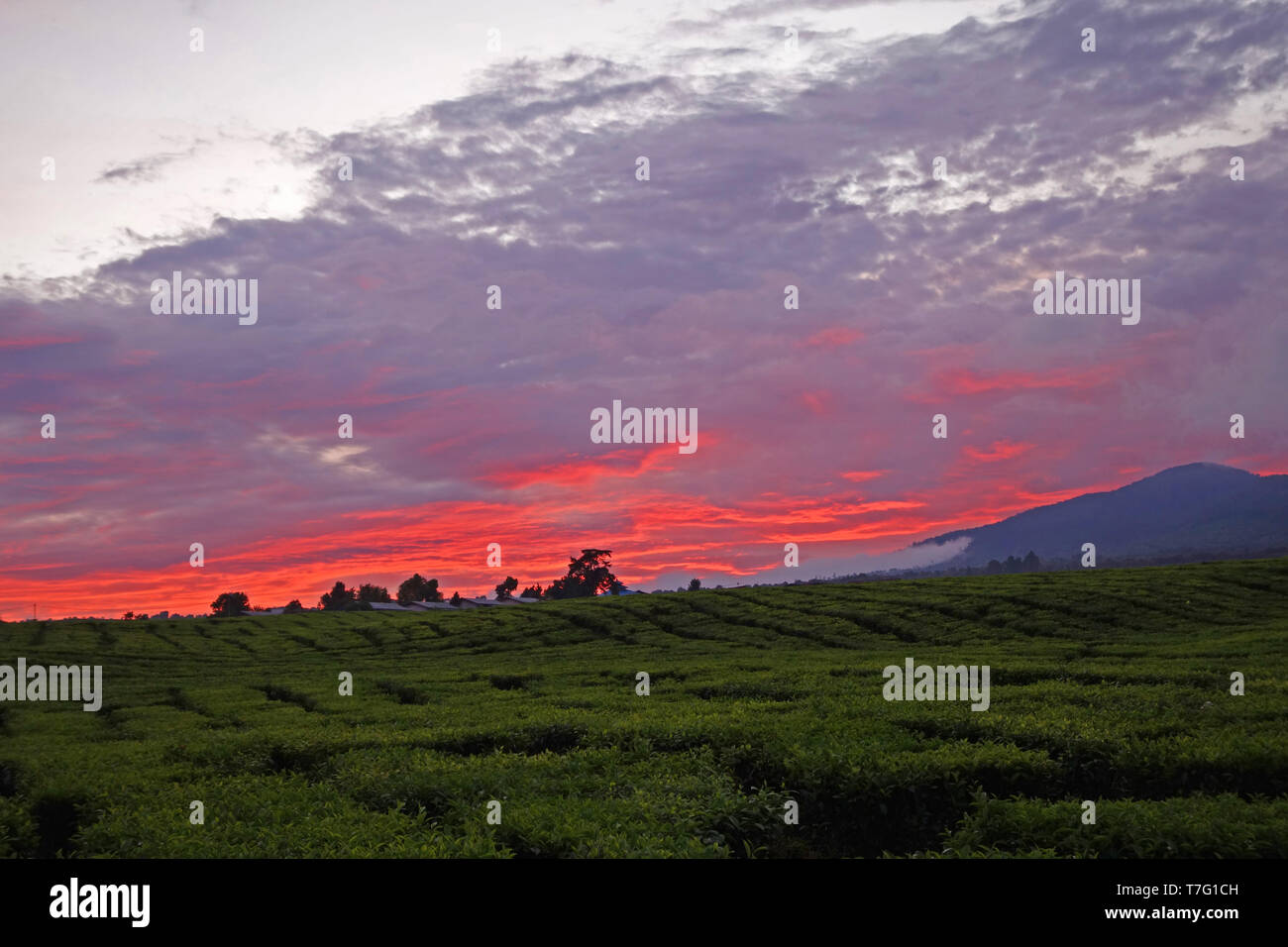 Gunung Kerinci, landscape of the island of Sumatra in Indonesia Stock ...