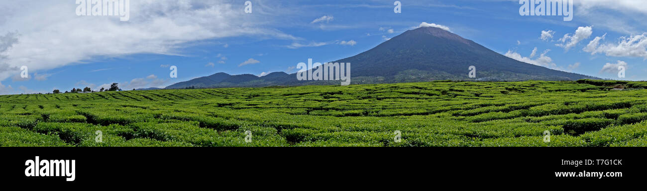 Gunung Kerinci, landscape of the island of Sumatra in Indonesia Stock ...