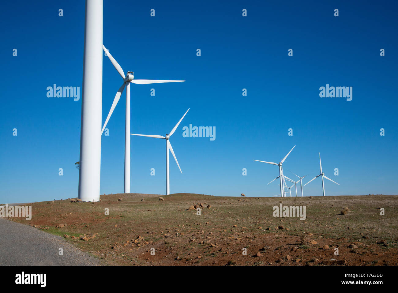 Visual environment hi-res stock photography and images - Alamy