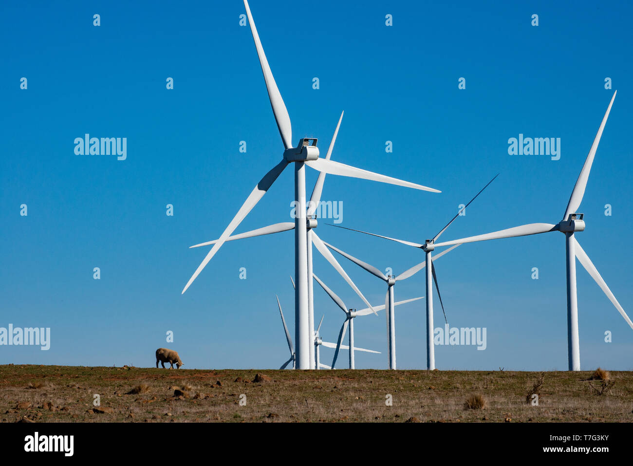 Horizontal axis wind turbine hi-res stock photography and images - Alamy