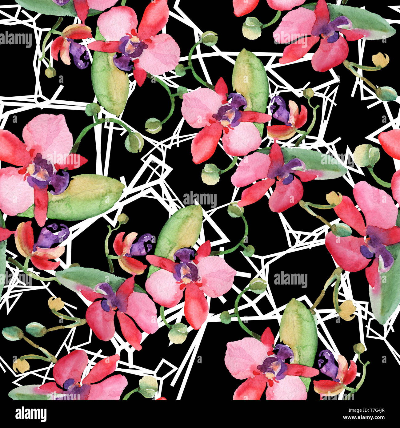 Orchid bouquets floral botanical flowers. Watercolor background ...