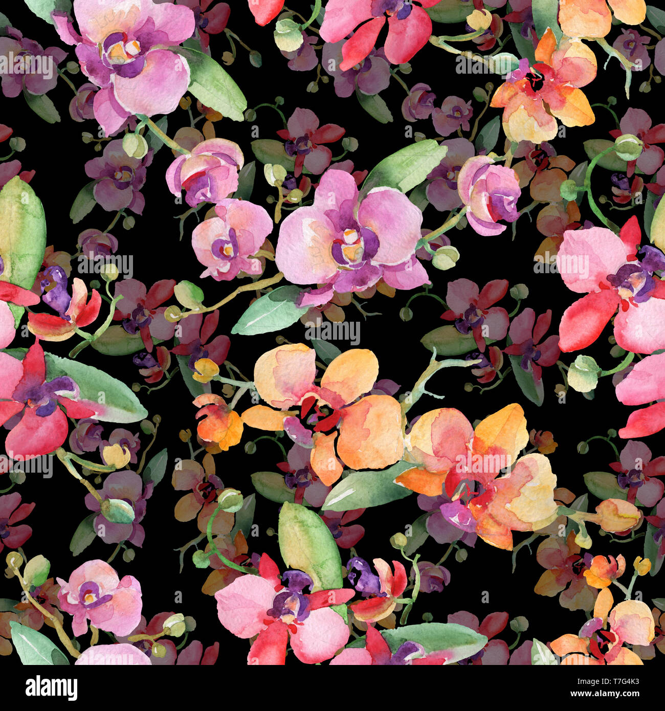 Orchid bouquets floral botanical flowers. Watercolor background ...