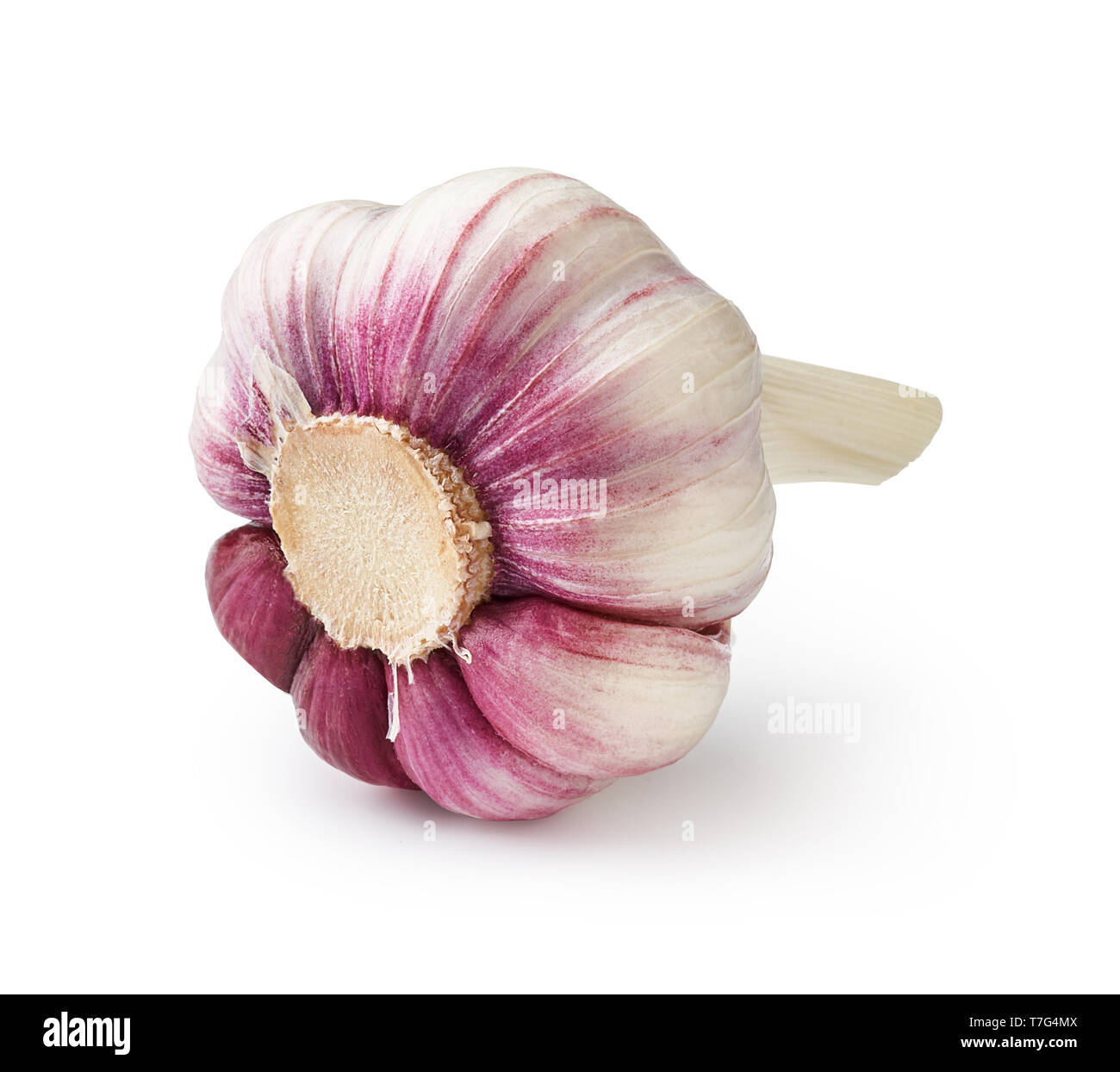 Young fresh organic garlic hi-res stock photography and images - Alamy