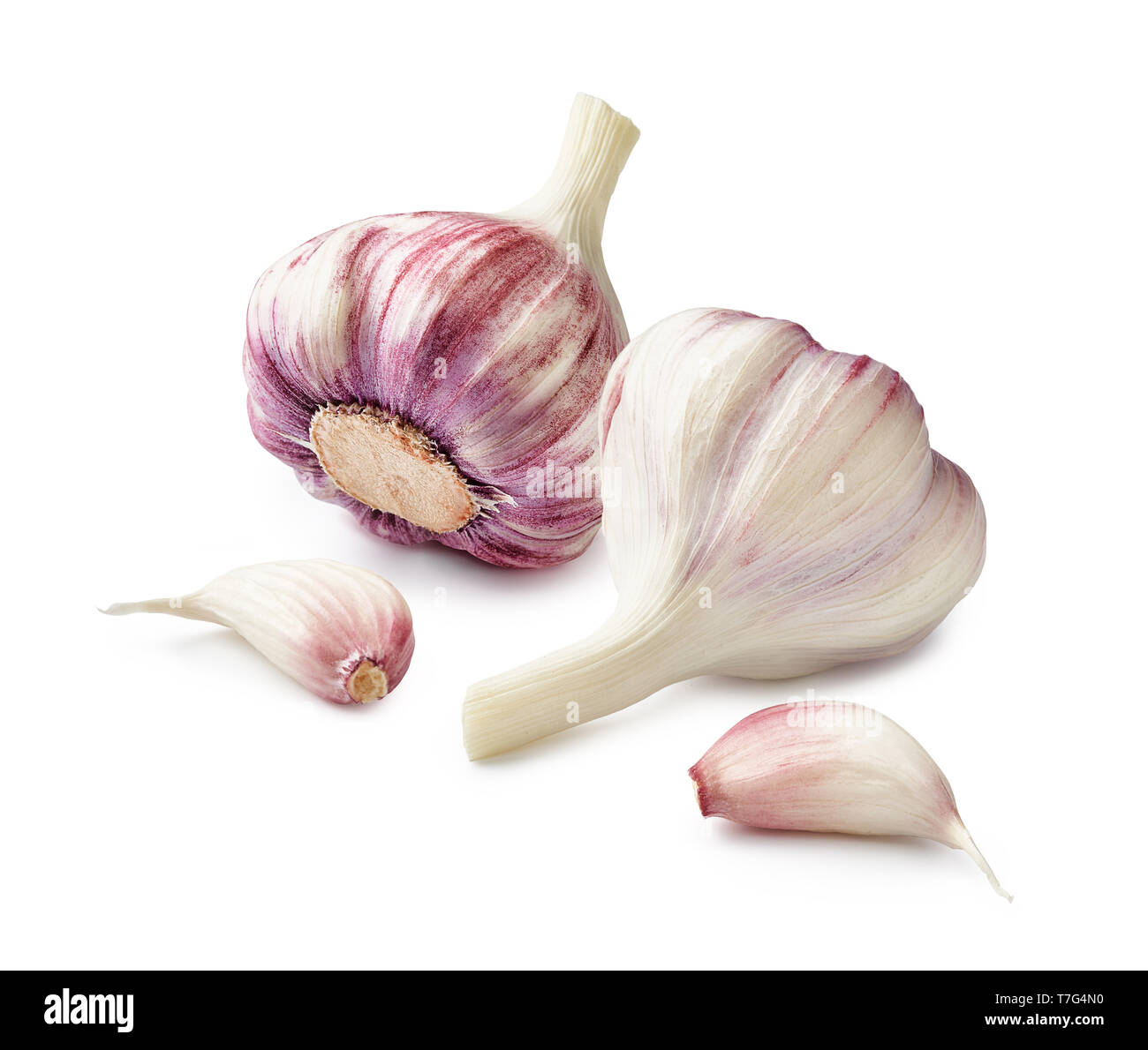Fresh two garlic with garlic cloves isolated on white background Stock ...