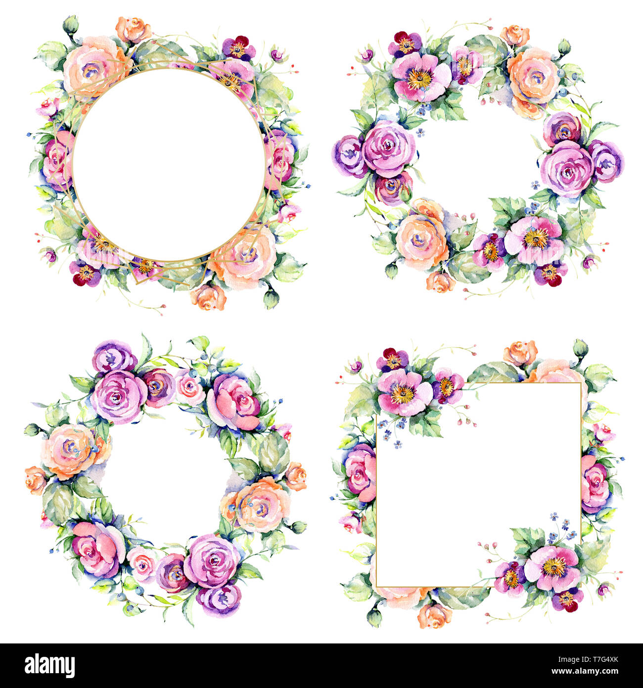 Pink Rose Bouquet Loral Botanical Flowers Watercolor Background