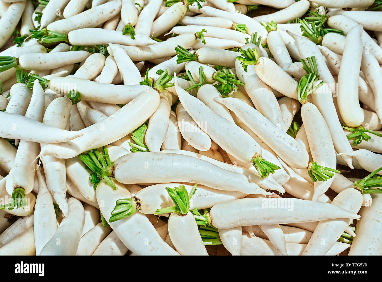 Close-up of a heap clean white long radishes seen in a vegetable market ...
