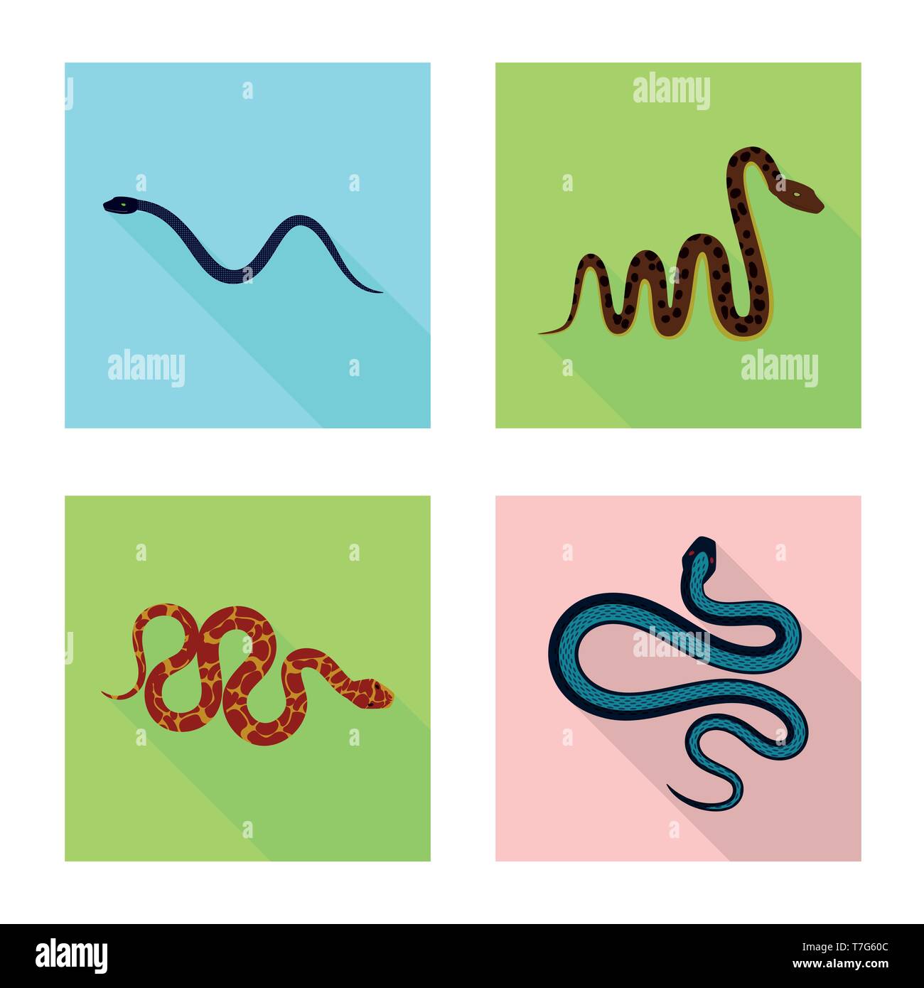 snake,amphibian,tail,python,wild,anaconda,blue,fear,Cyprus,animal ...