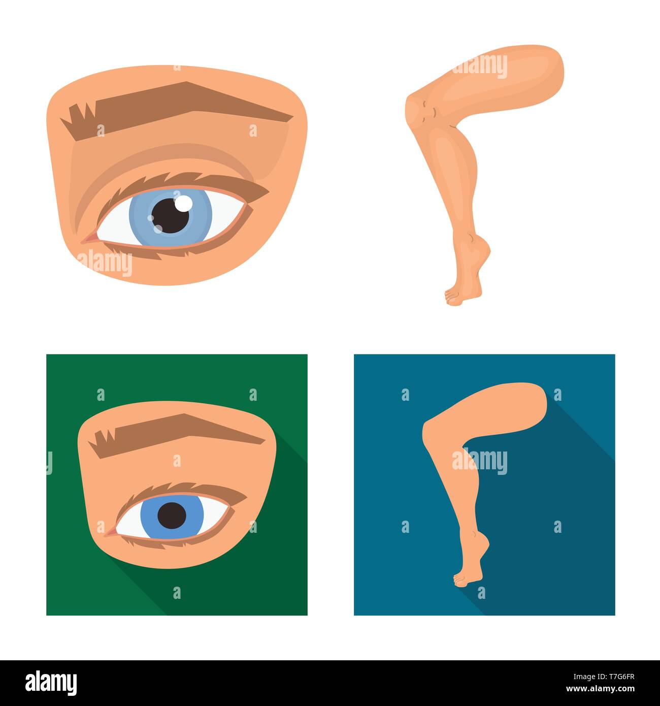 Isolated object of body and part symbol. Set of body and anatomy vector ...
