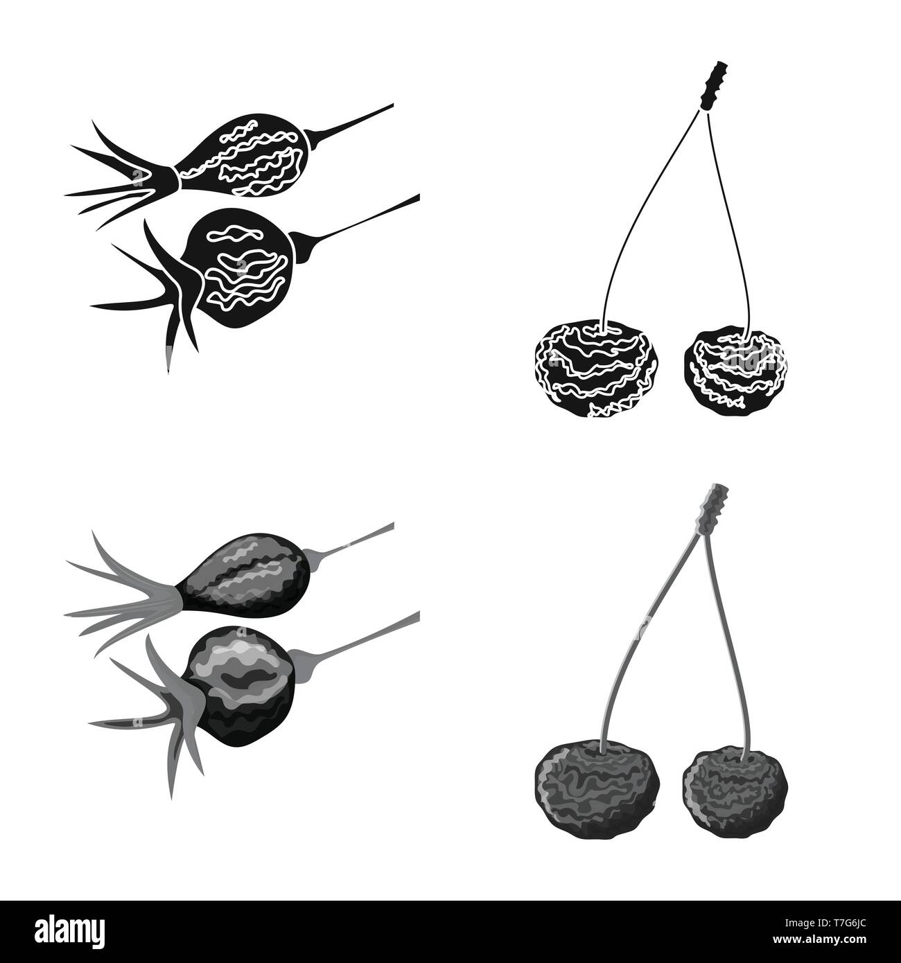 Vector illustration of food and raw logo. Set of food and nature vector ...