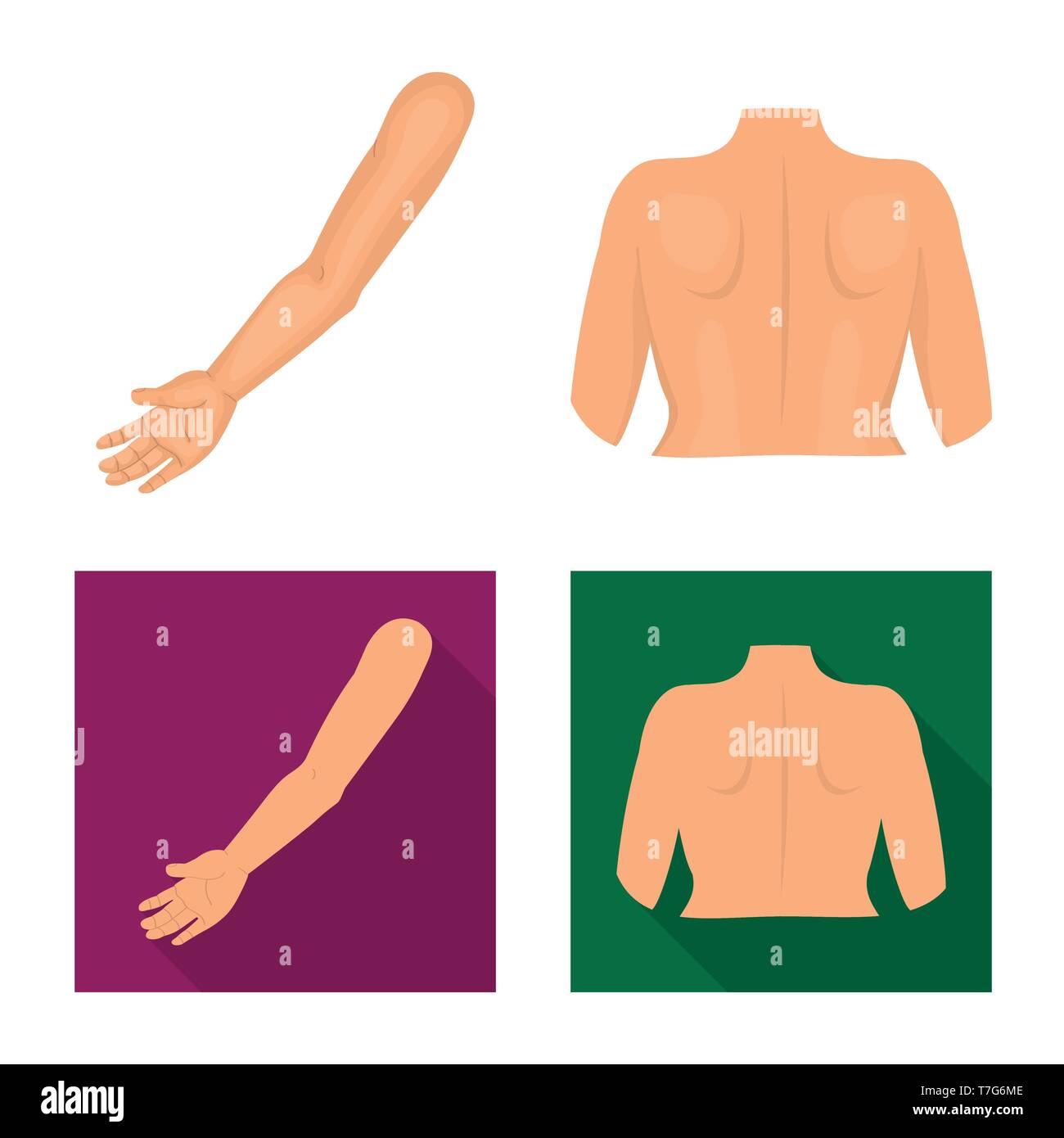 Isolated object of body and part sign. Collection of body and anatomy ...