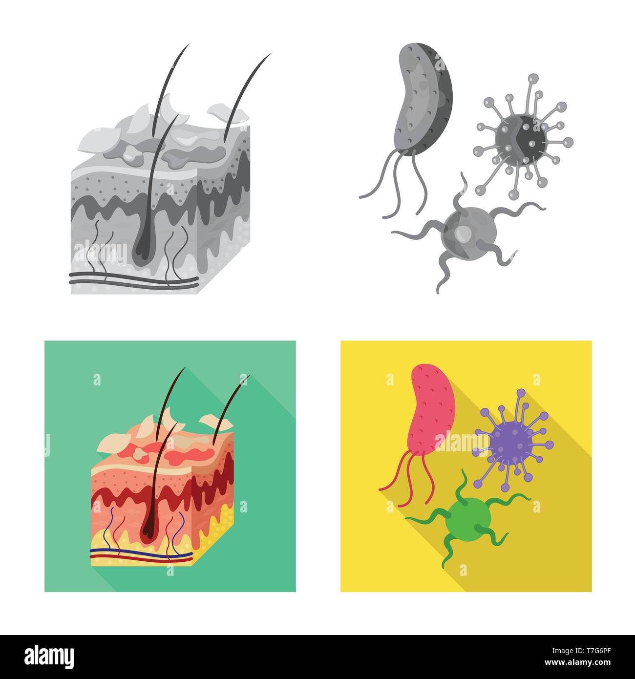 skin,bacteria,epidermis,virus,adipose,microbe,tissue,laboratory,anatomy ...