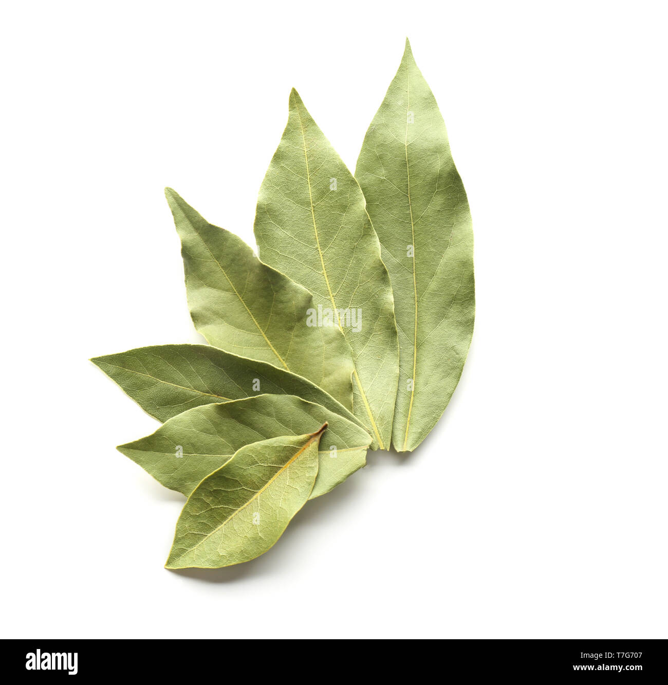 Dry bay leaves on white background Stock Photo - Alamy