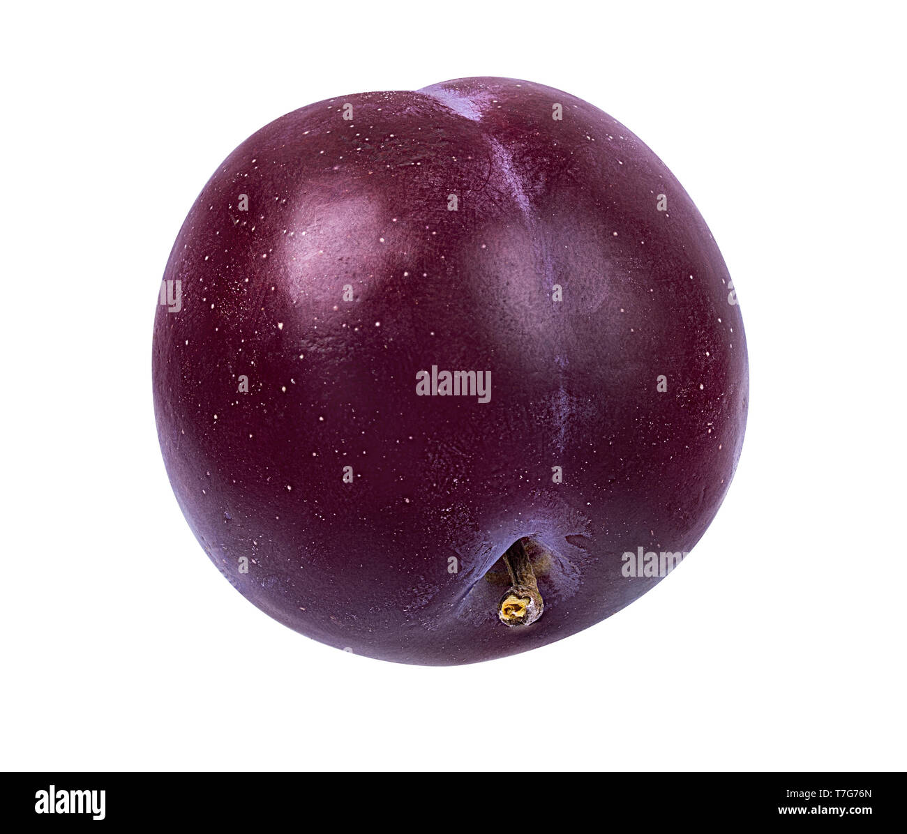plum on a white background Stock Photo - Alamy