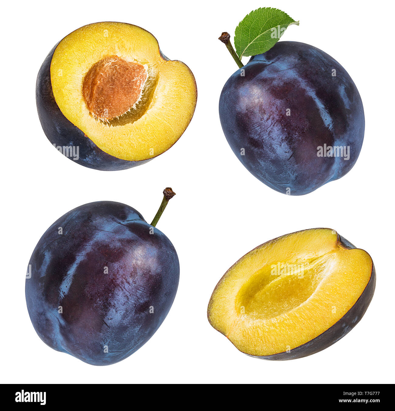 plum on a white background Stock Photo - Alamy