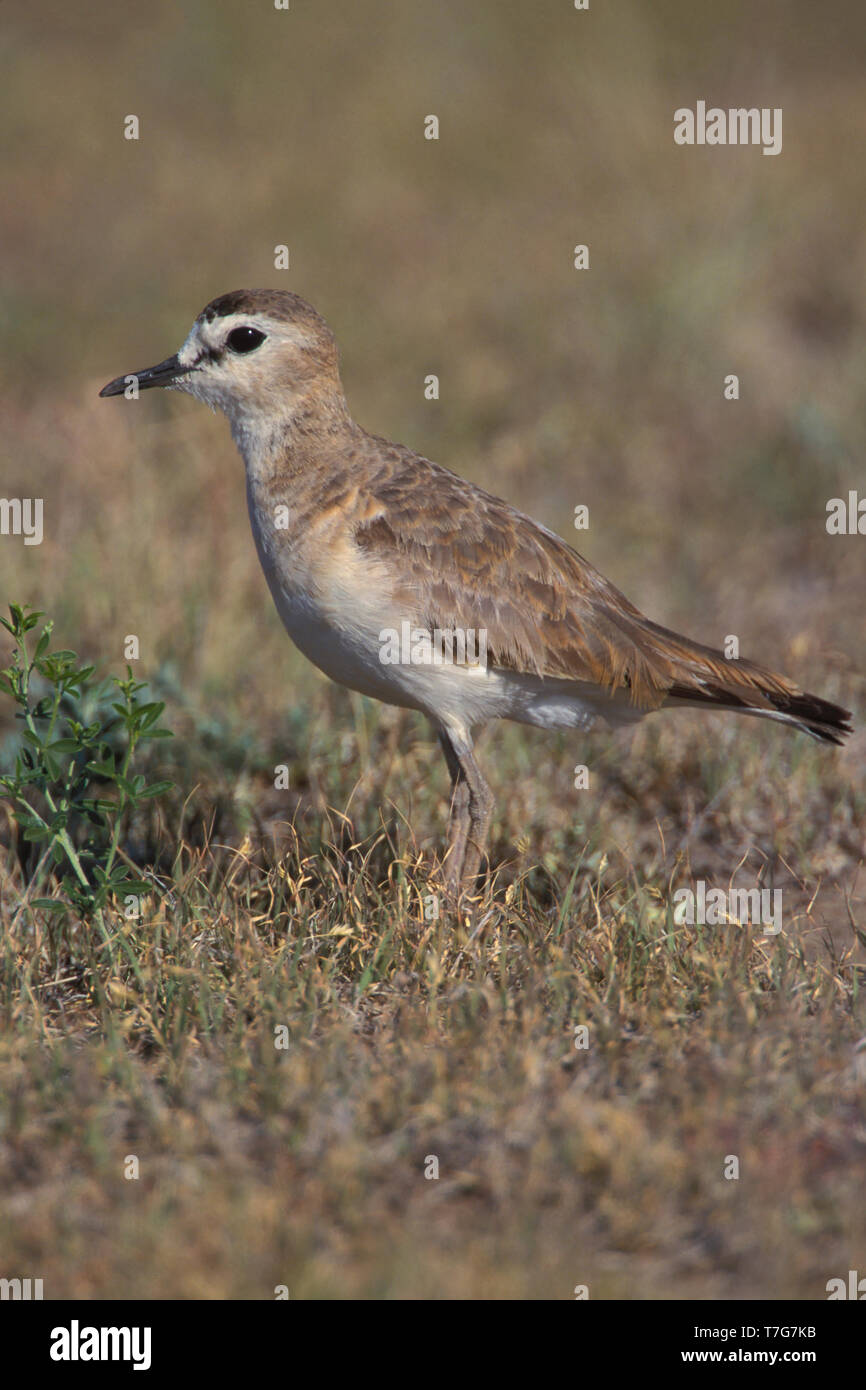 Weld county hi-res stock photography and images - Alamy