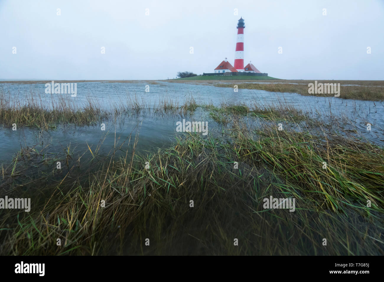 Saltmarsh at Lighthouse Westerhever during storm tide, in German Wadden ...