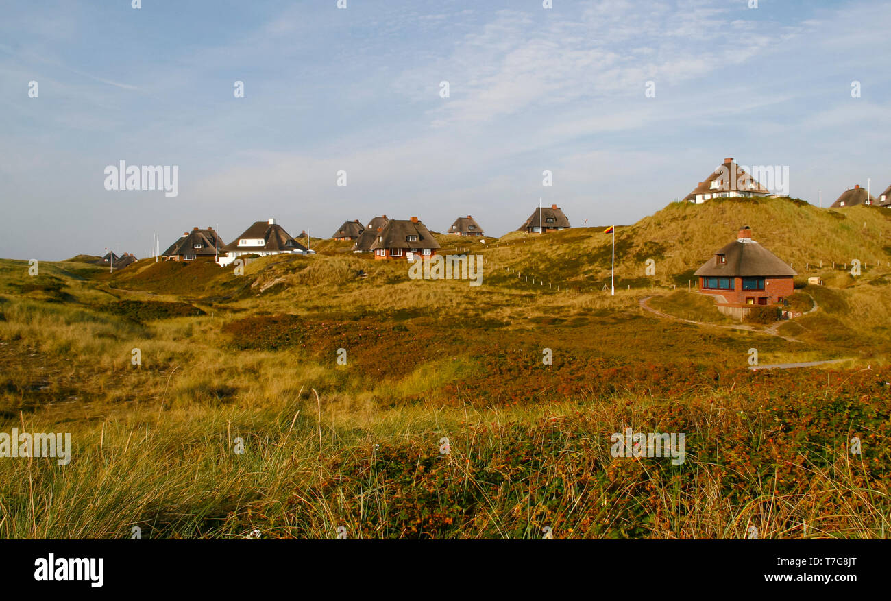 Typical houses of Wadden Island Sylt, Germany Stock Photo - Alamy