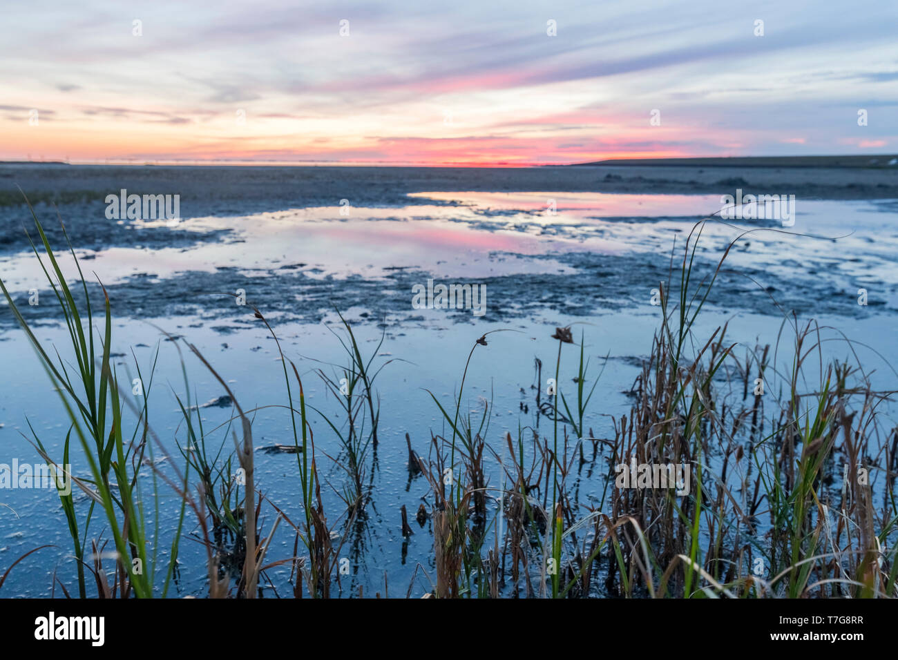 Wadden Sea, Nordstrand, Germany Stock Photo - Alamy