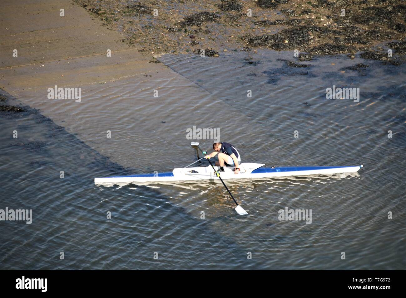 Single sculler hi-res stock photography and images - Alamy