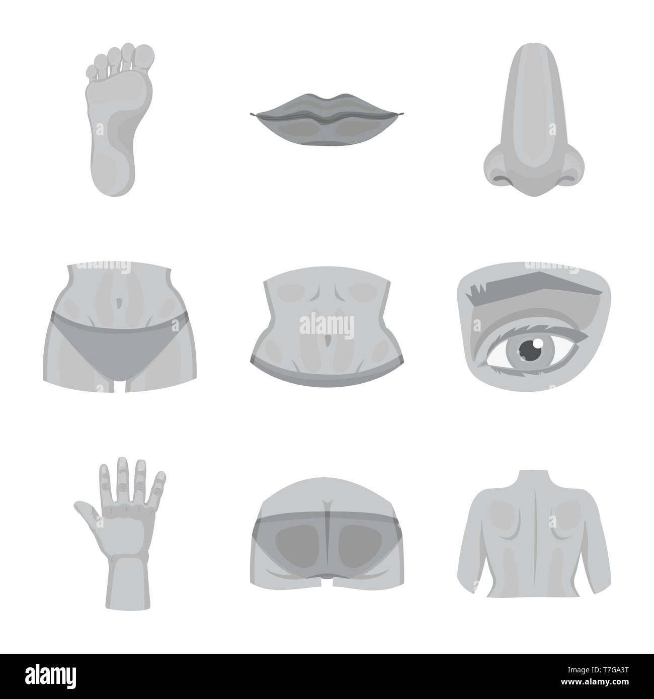 Vector design of body and part icon. Collection of body and anatomy ...