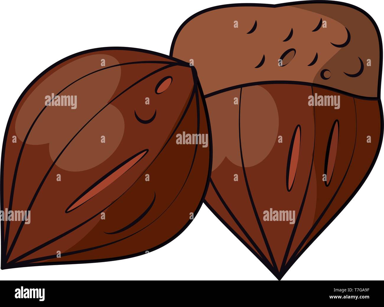 Nuts natural food cartoon Stock Vector Image & Art - Alamy
