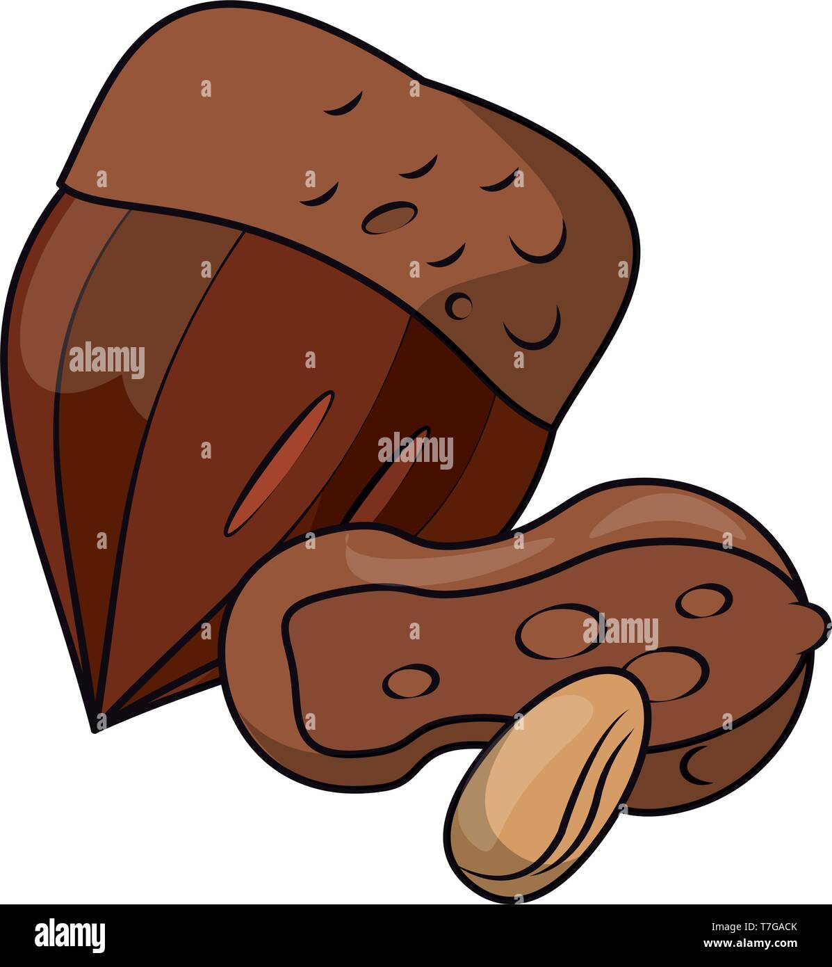 Nuts natural food cartoon Stock Vector Image & Art - Alamy