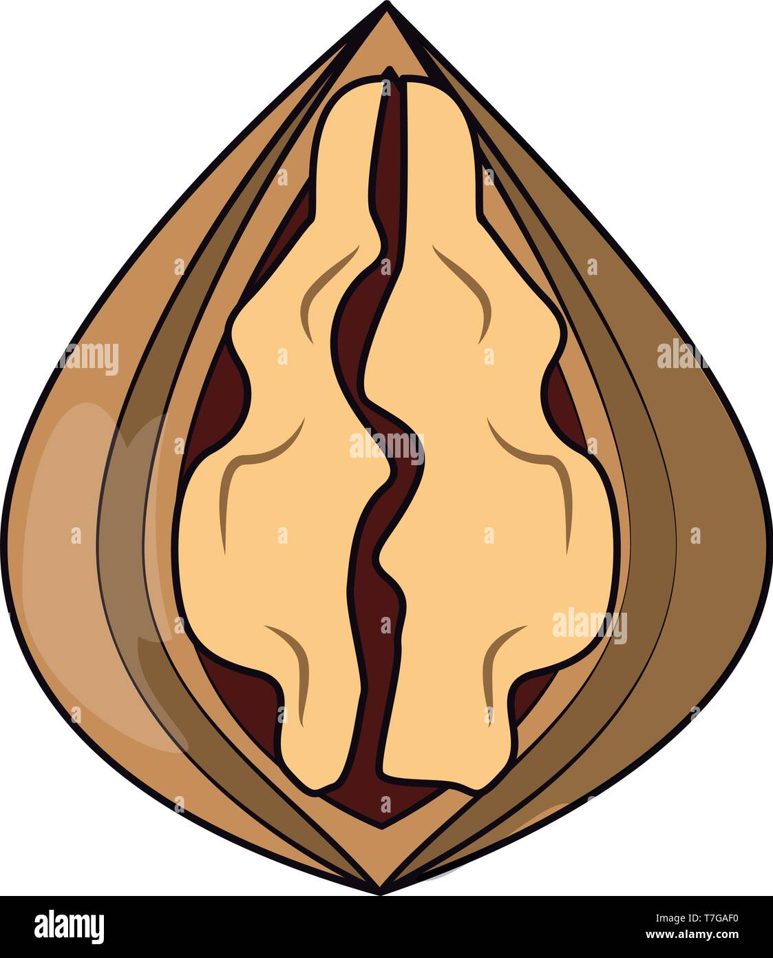 Nuts natural food cartoon Stock Vector Image & Art - Alamy