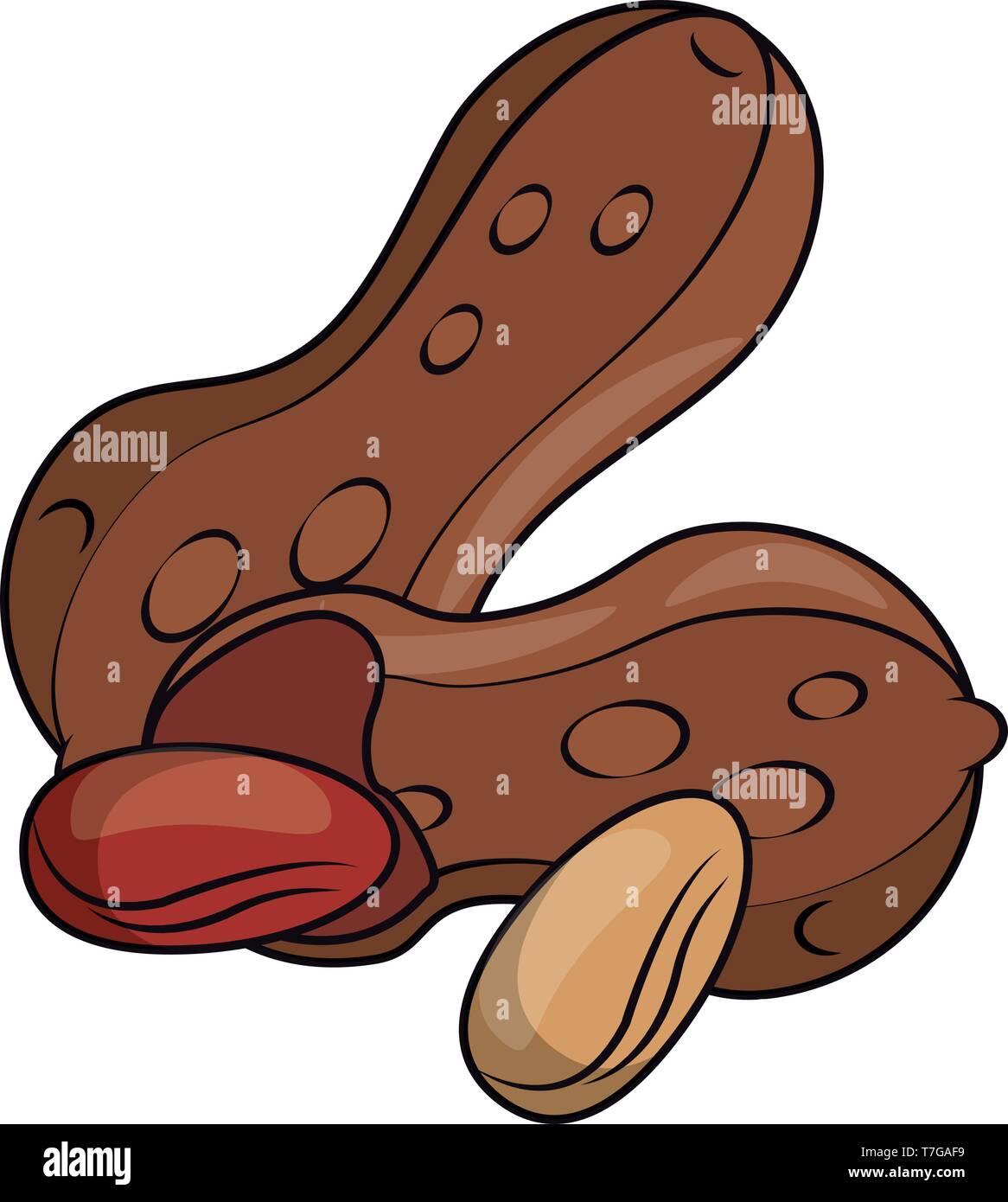 Nuts natural food cartoon Stock Vector Image & Art - Alamy