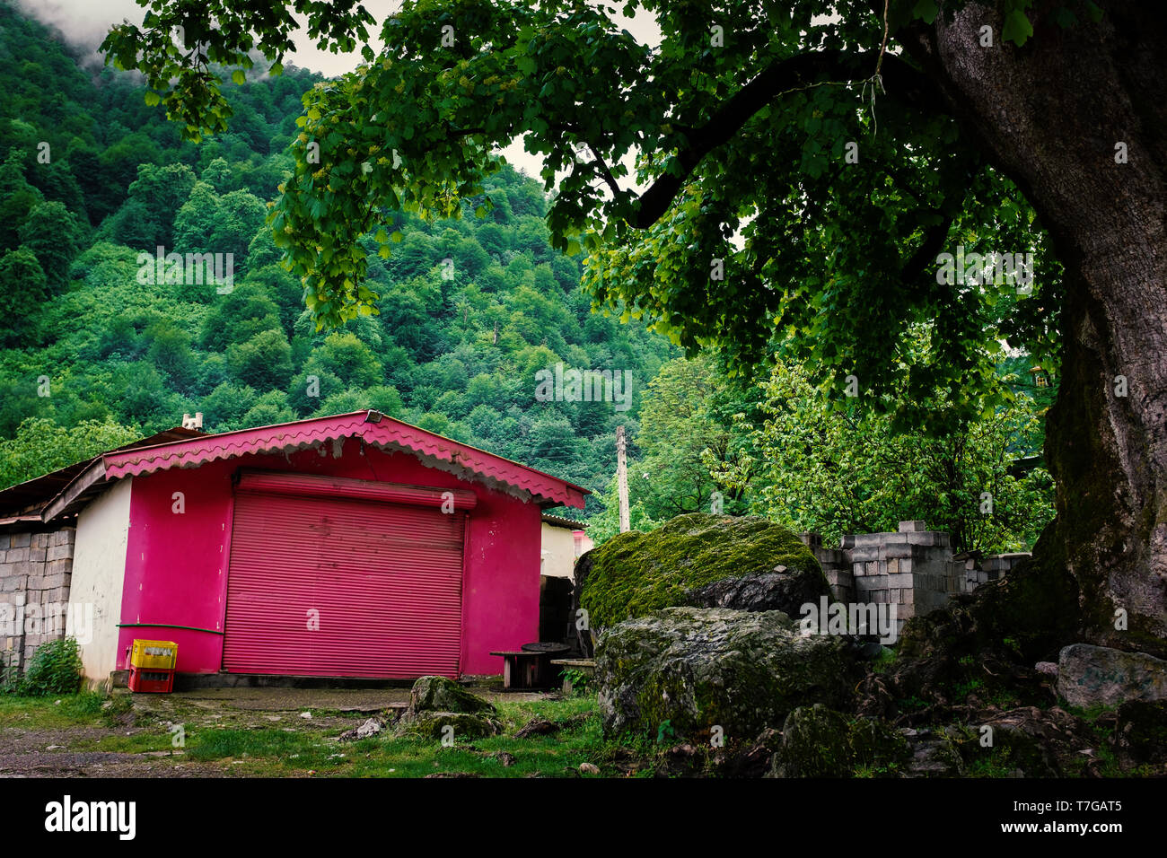 A pink colored rural shop with the gable roof in the forested area in ...