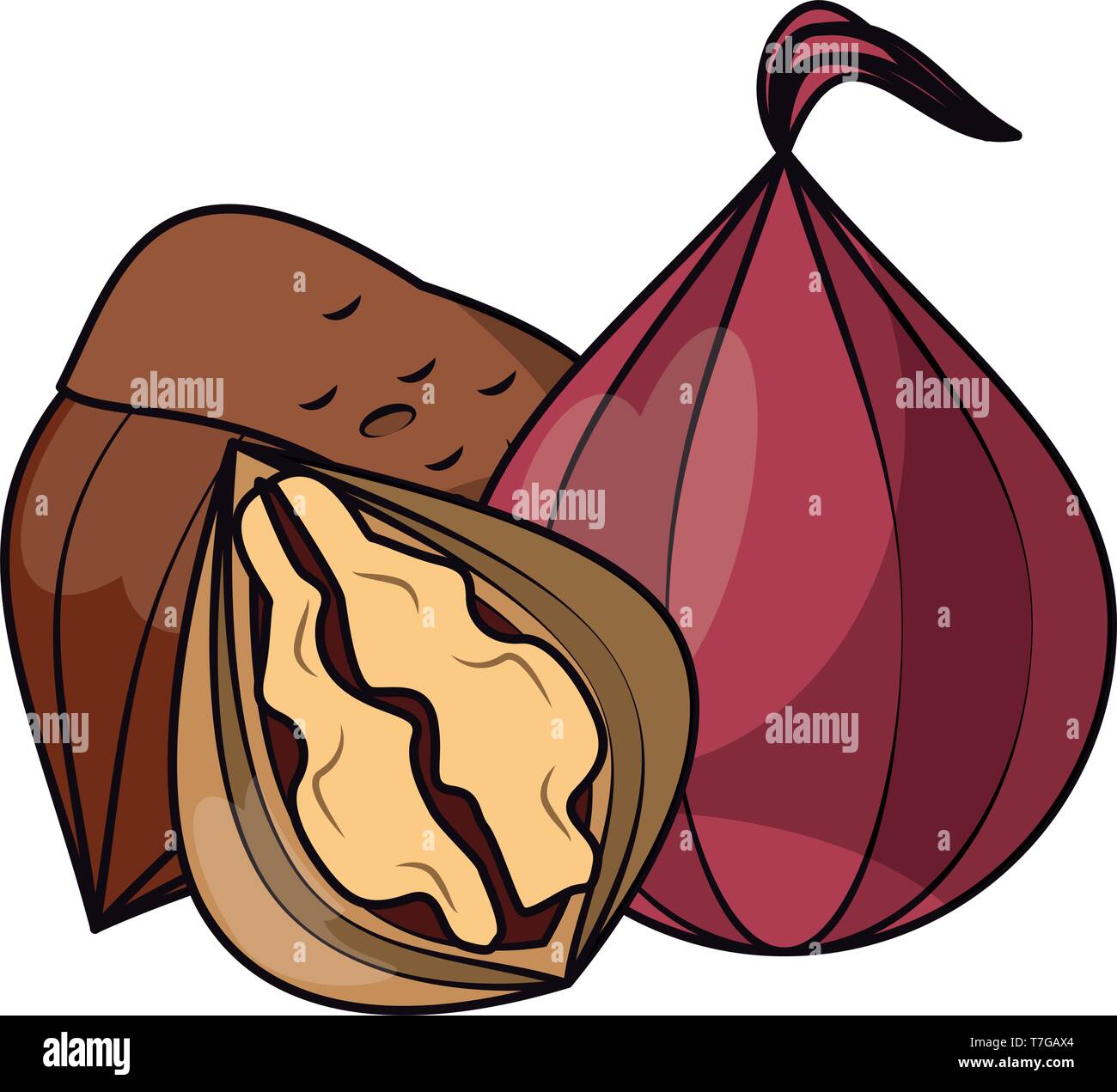 Nuts natural food cartoon Stock Vector Image & Art - Alamy